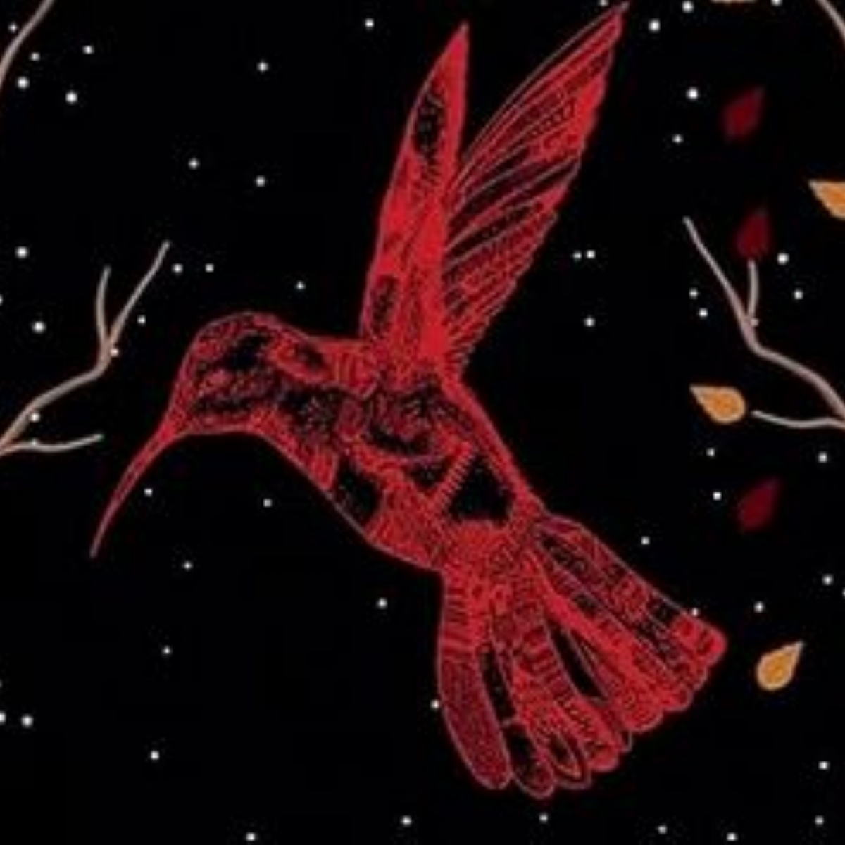 Churchill Academy & Sixth Form - Rising Star: Lily Releases Debut Novel ...